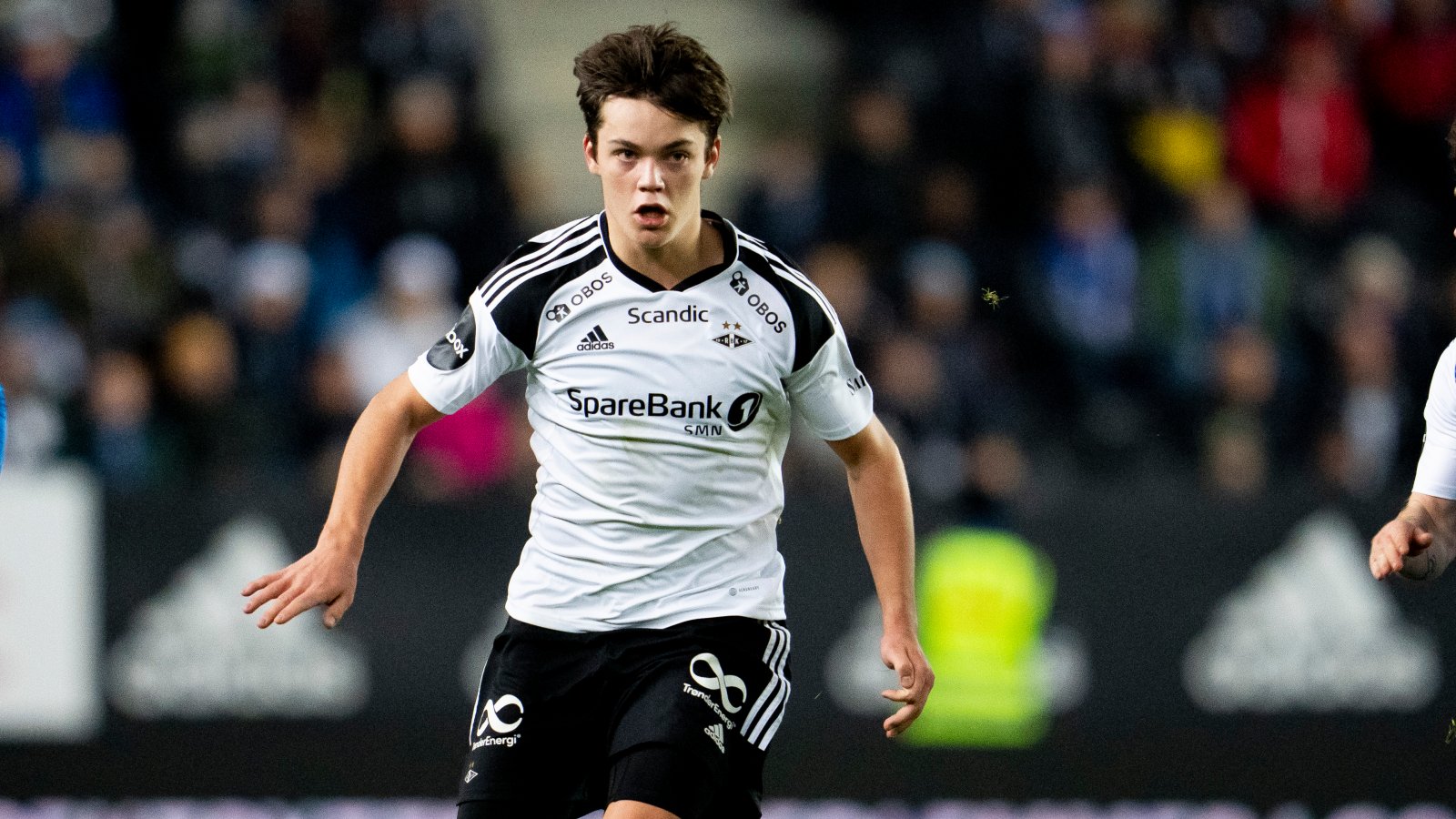 G16-laget møter skandinavisk motstand / Rosenborg